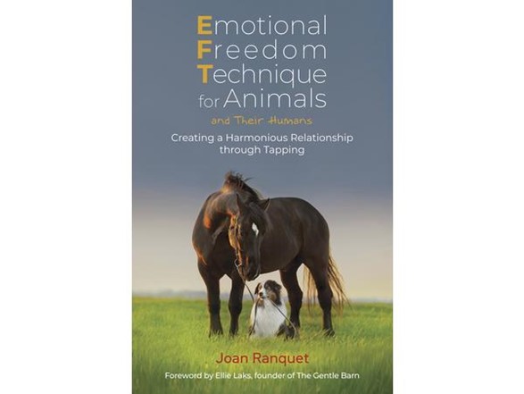 Simple Energy Healing Activities to Help Your Animal